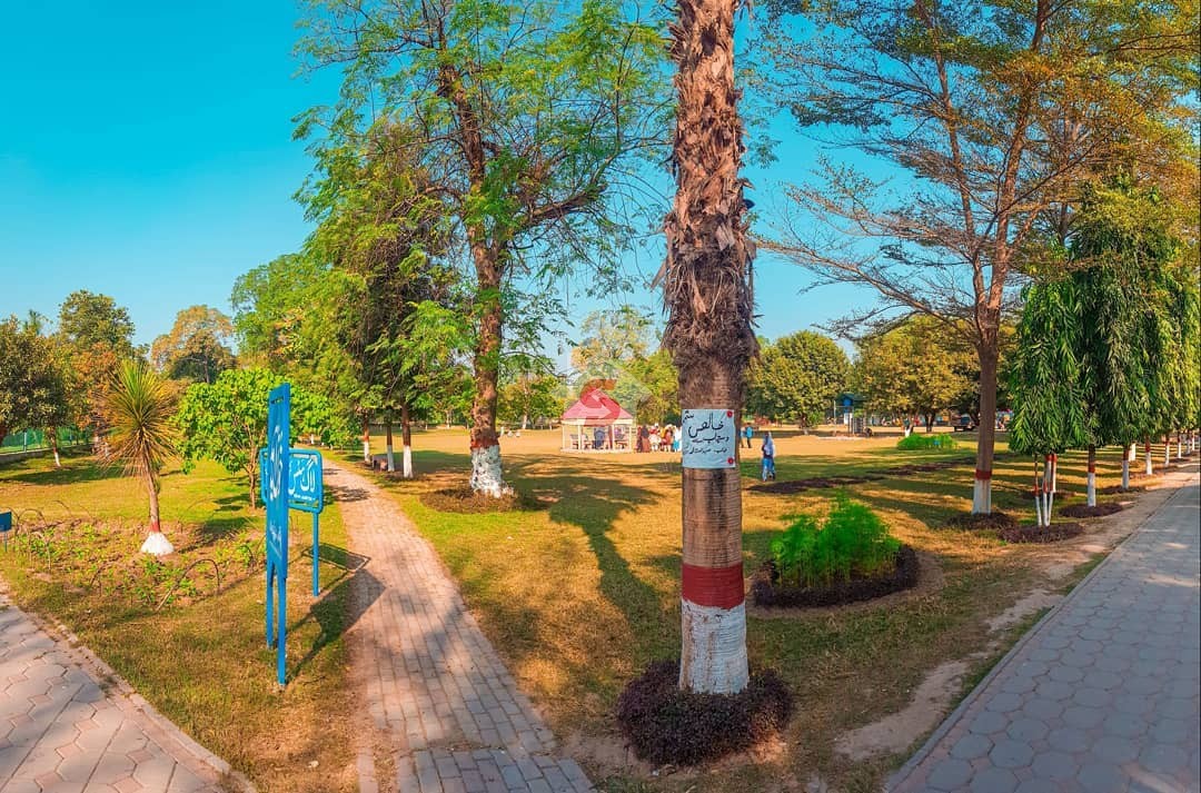 Exploring Pakistan’s first man-made forest – Changa Manga - SabzProperty